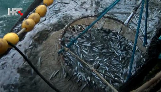 HRT: Fishermen and consumers will have to be patient - fishing ban on ...