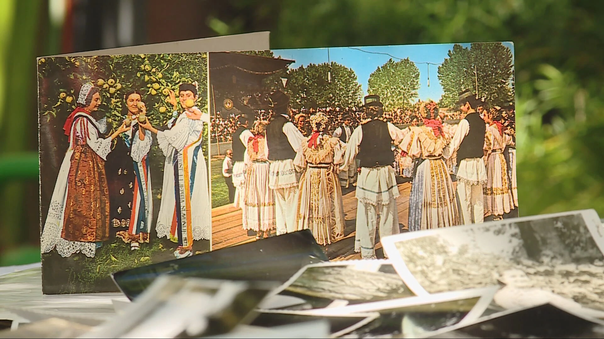 Vinkovačke jeseni: Šezdeset godina ponosa, pjesme i sjećanja - HRT