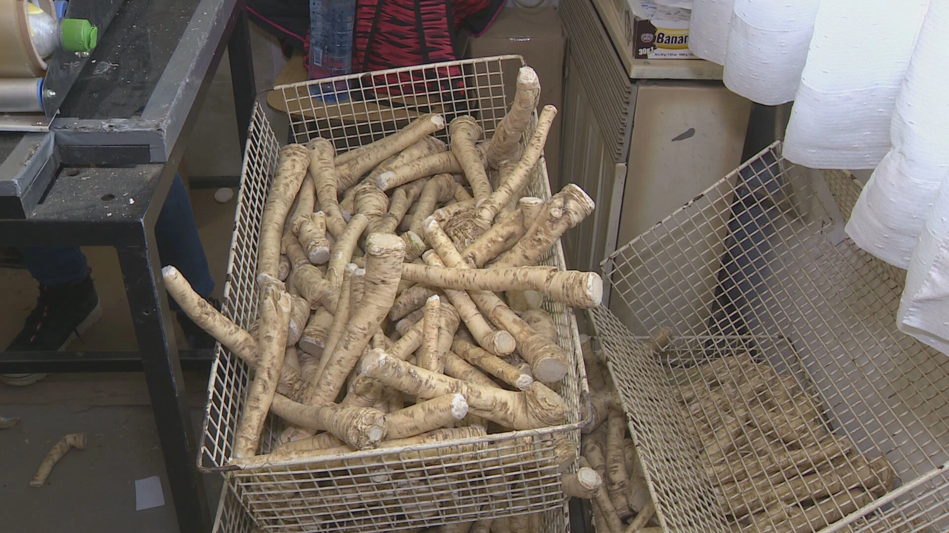 Ludbreški hren je 48. hrvatski proizvod zaštićenog naziva u EU - HRT