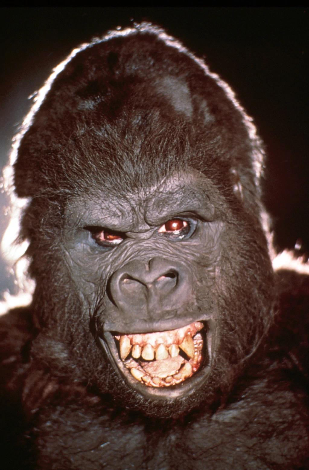 King Kong - HRT