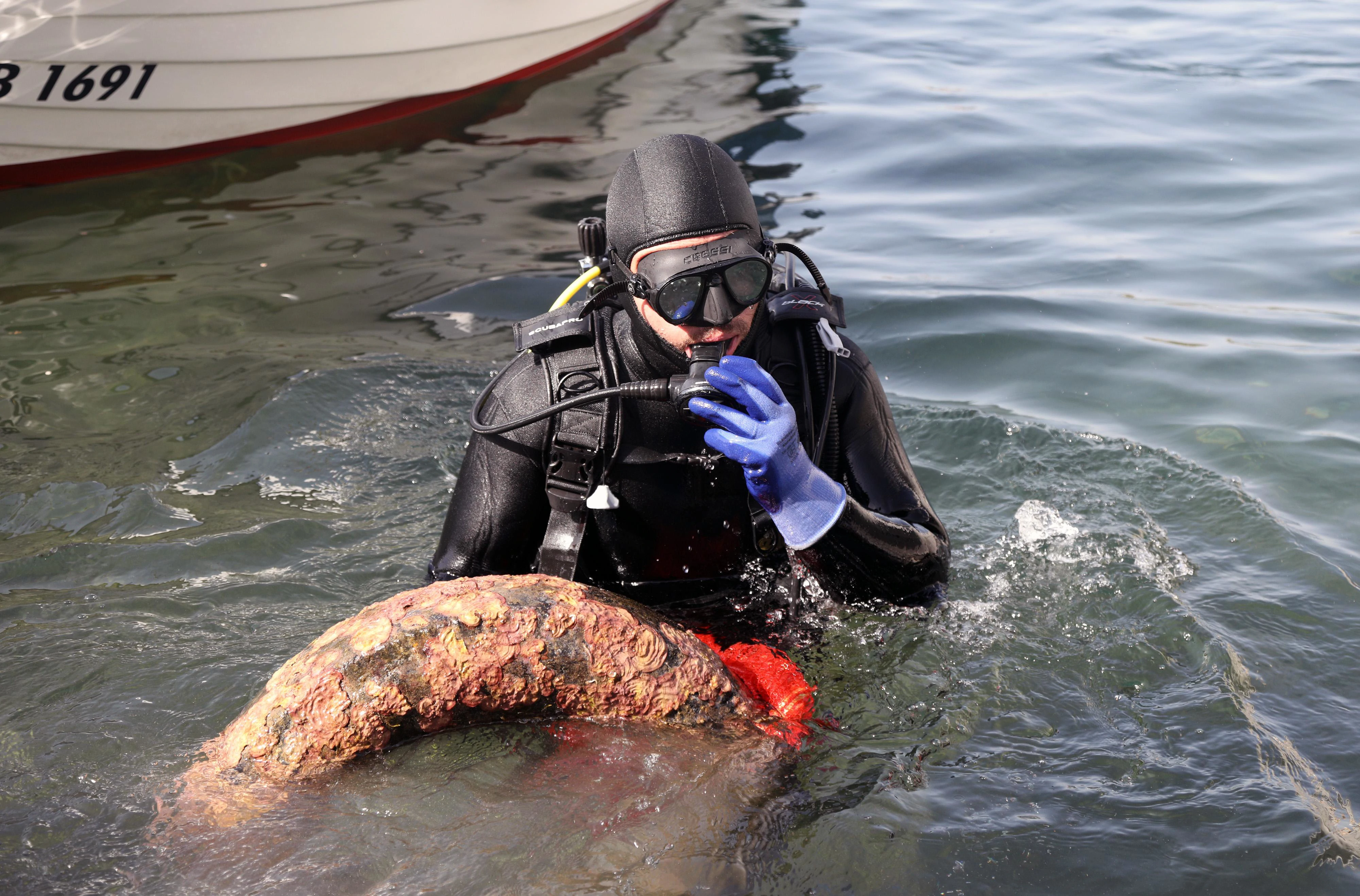 Eko patrola Kvarner - ronioci čistili podmorje Bakra - HRT