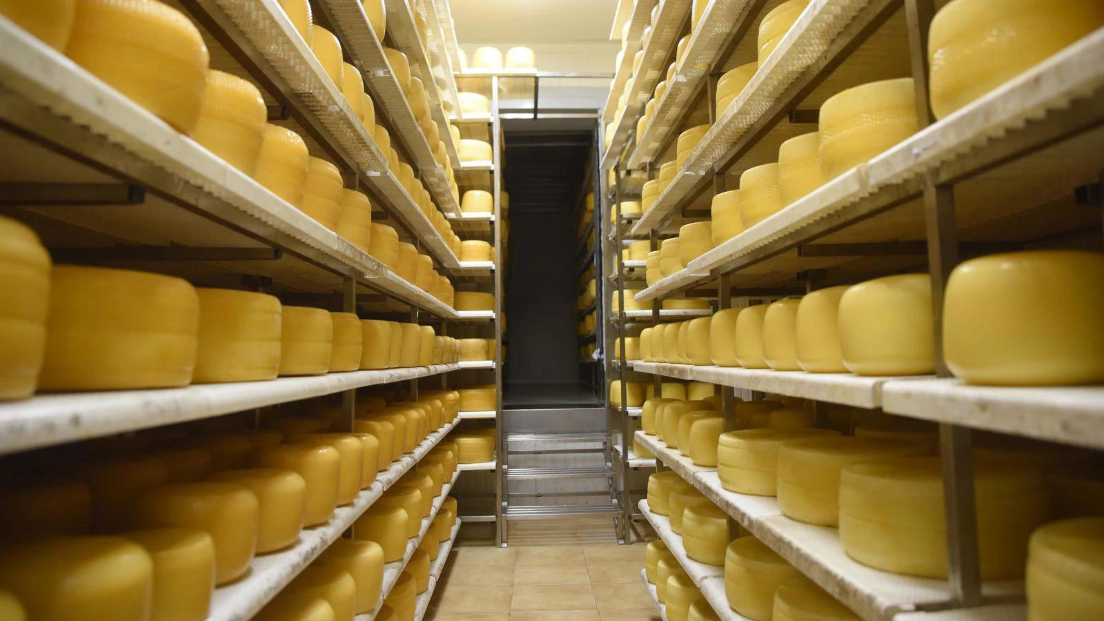 Infografika: Najbolji sirevi na svijetu, paški sir na 64. mjestu - HRT