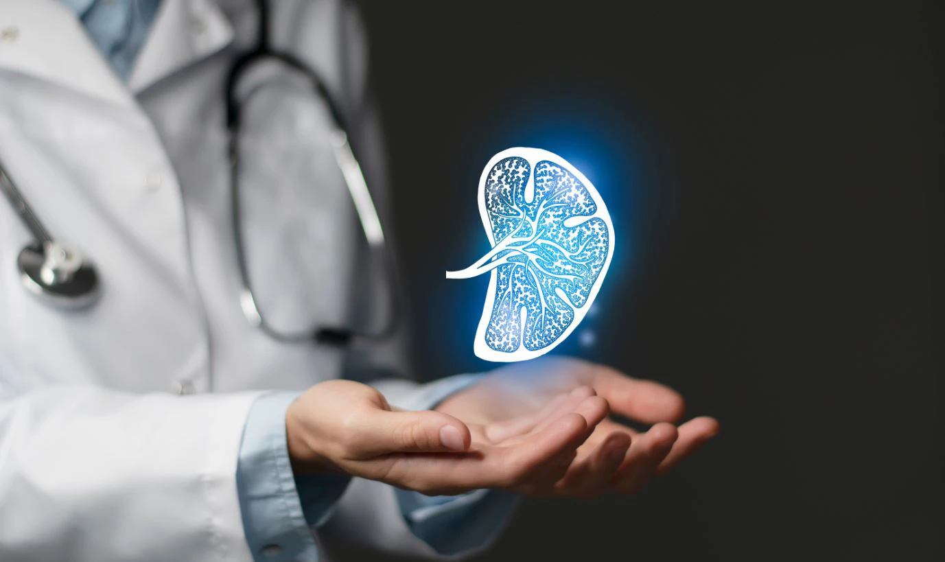 Znate li koja je funkcija slezene? - HRT