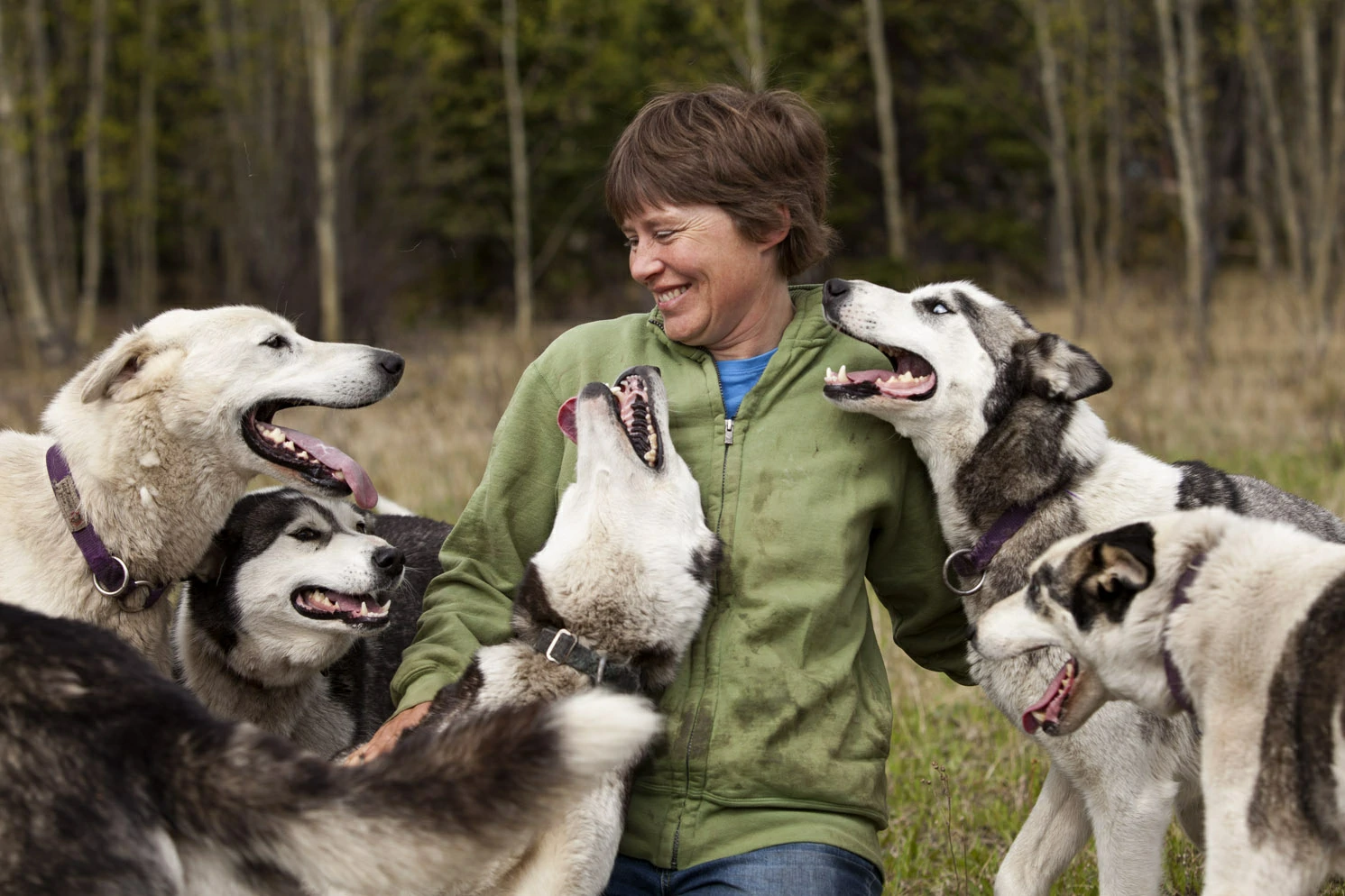 Čudesna divljina: Nacionalni park Kluane - HRT