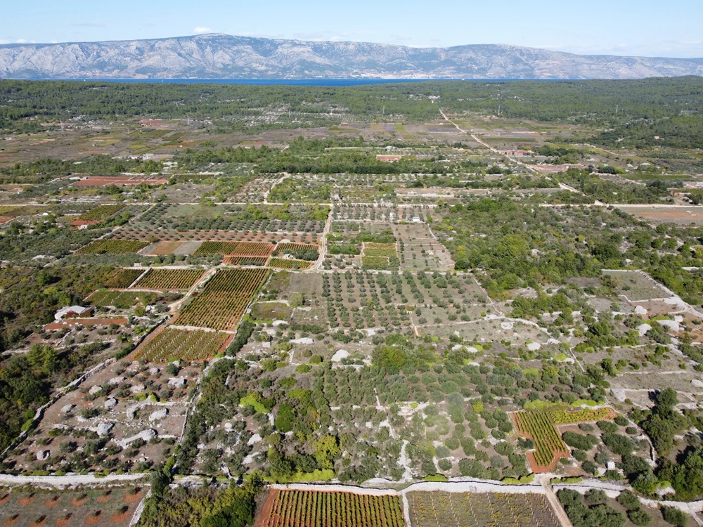 Starogradsko polje: Faros na tanjuru - HRT