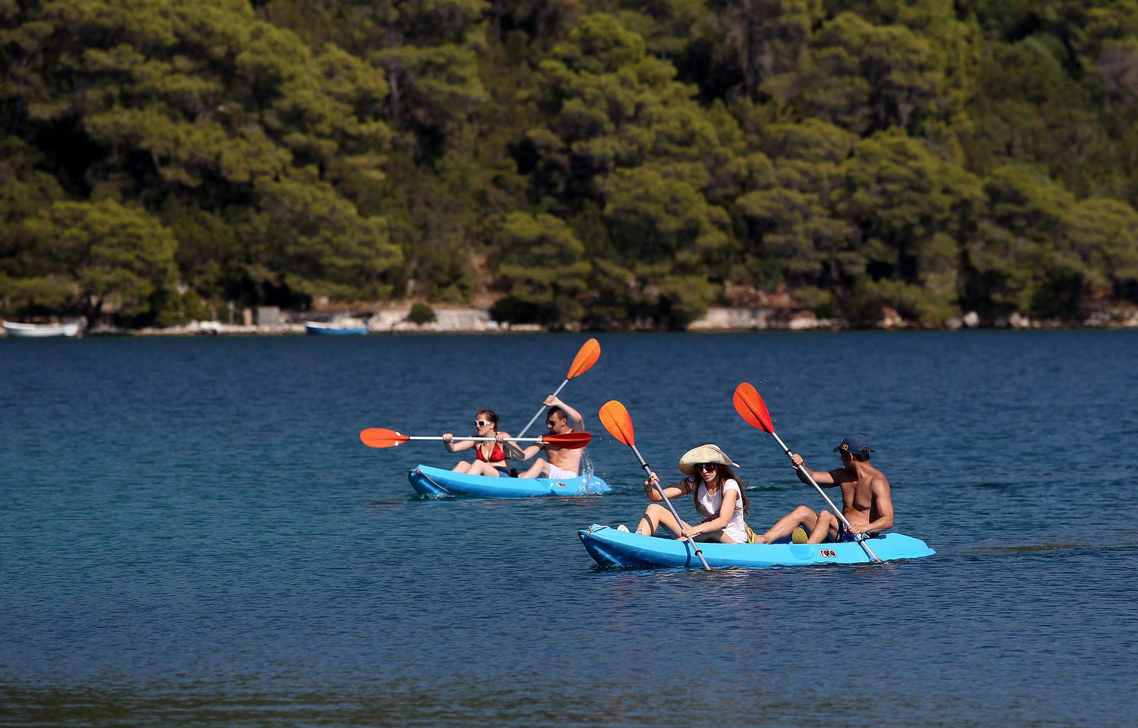 Zeleni otok Mljet turisti vole i izvan sezone, istražili smo zašto? - HRT