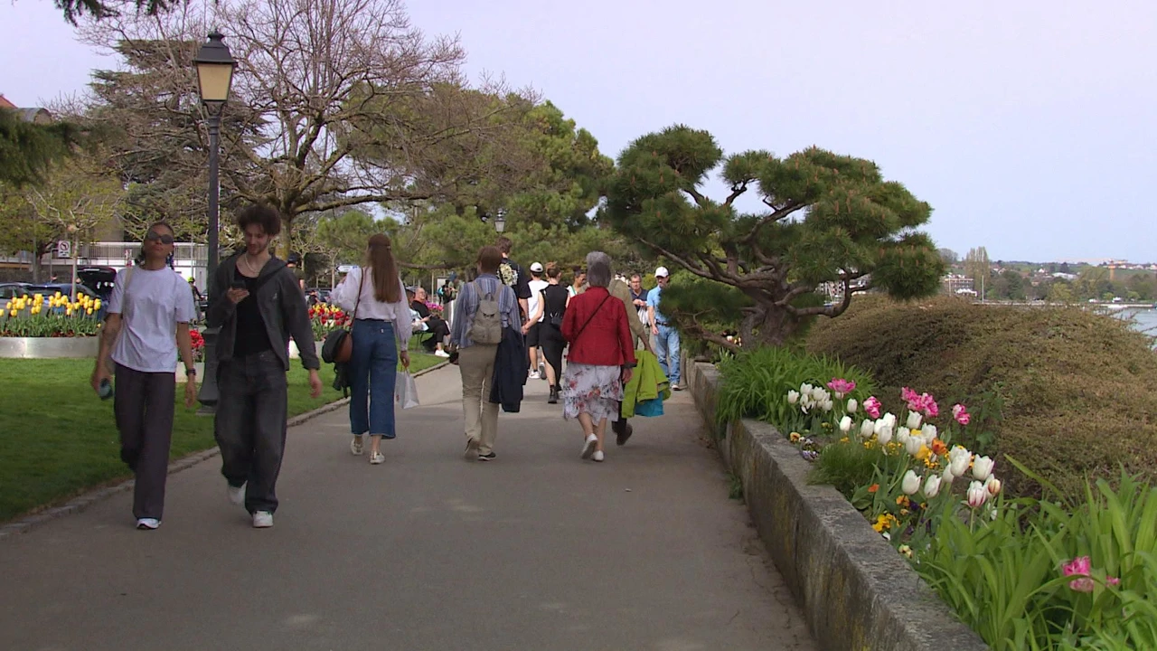 Moj put: Moj izbor - HRT