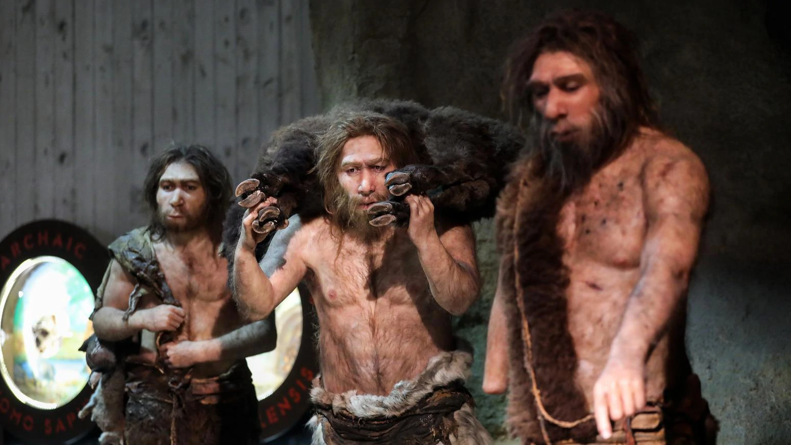 Neandertalci nisu nestali: Genetsko nasljeđe naših davnih rođaka živi u ...