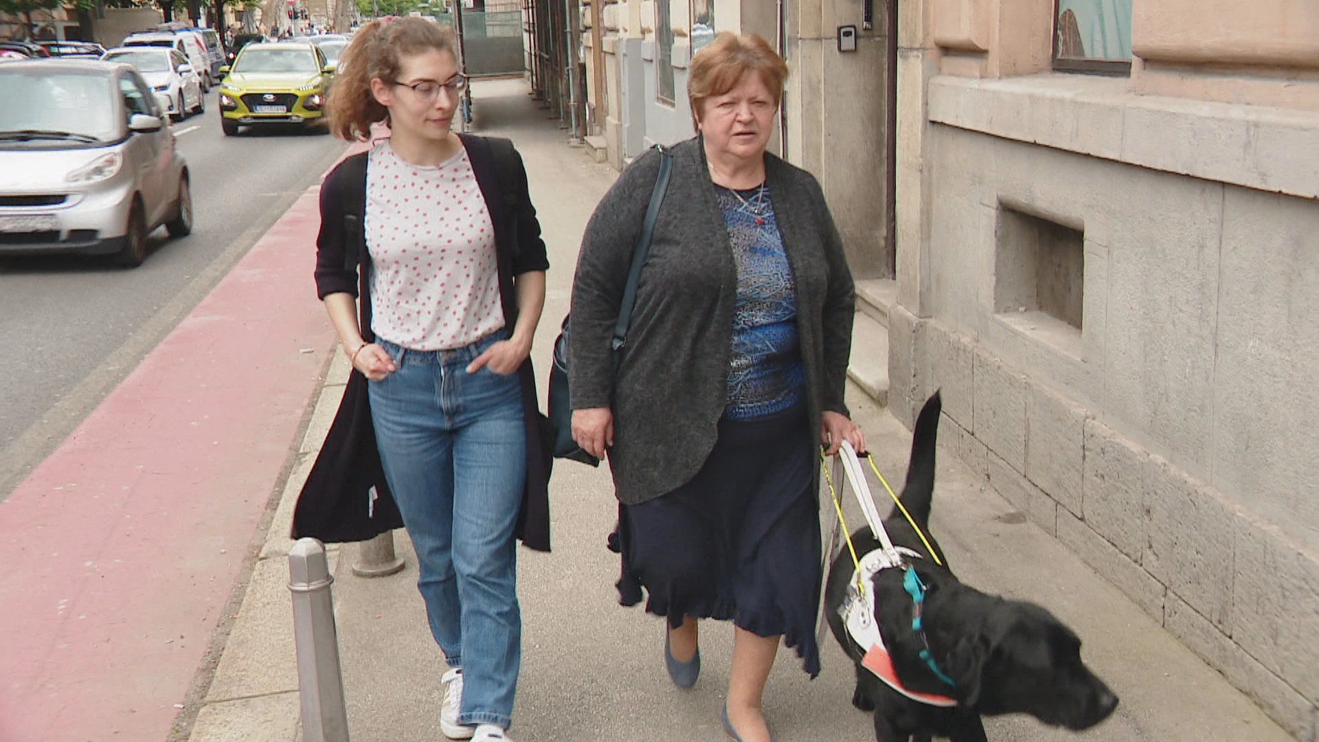 Star je zvijezda vodilja gospođe Mire - HRT