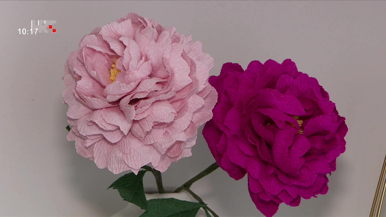 Petrino cvijeće od krep-papira izgleda kao da je upravo ubrano - HRT