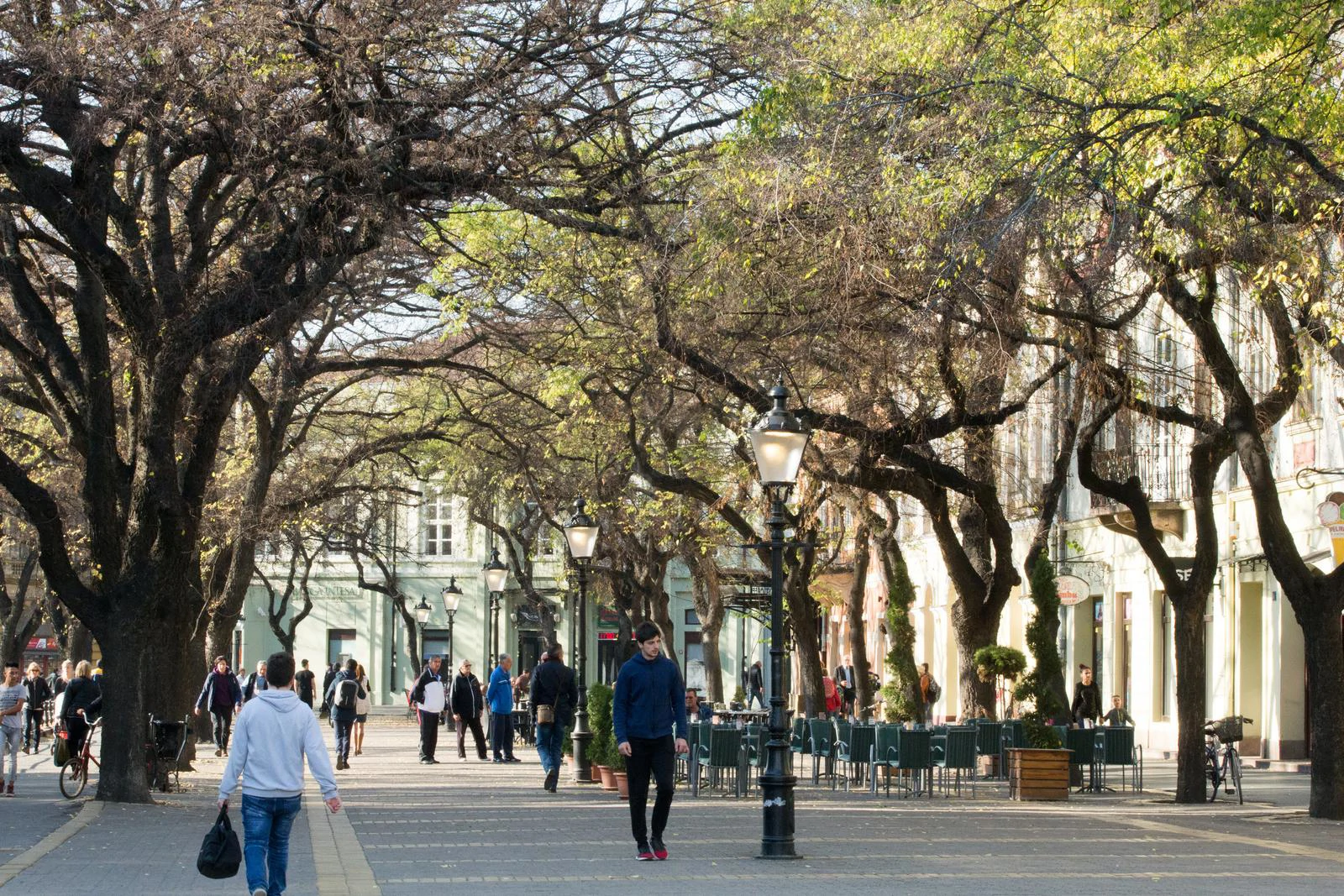 Uspješno realizirano 20 projekata potpore hrvatskoj manjini u Srbiji - HRT