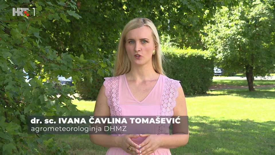 Zbog vrućine i insolacije višednevni toplinski stres kod biljaka i ...