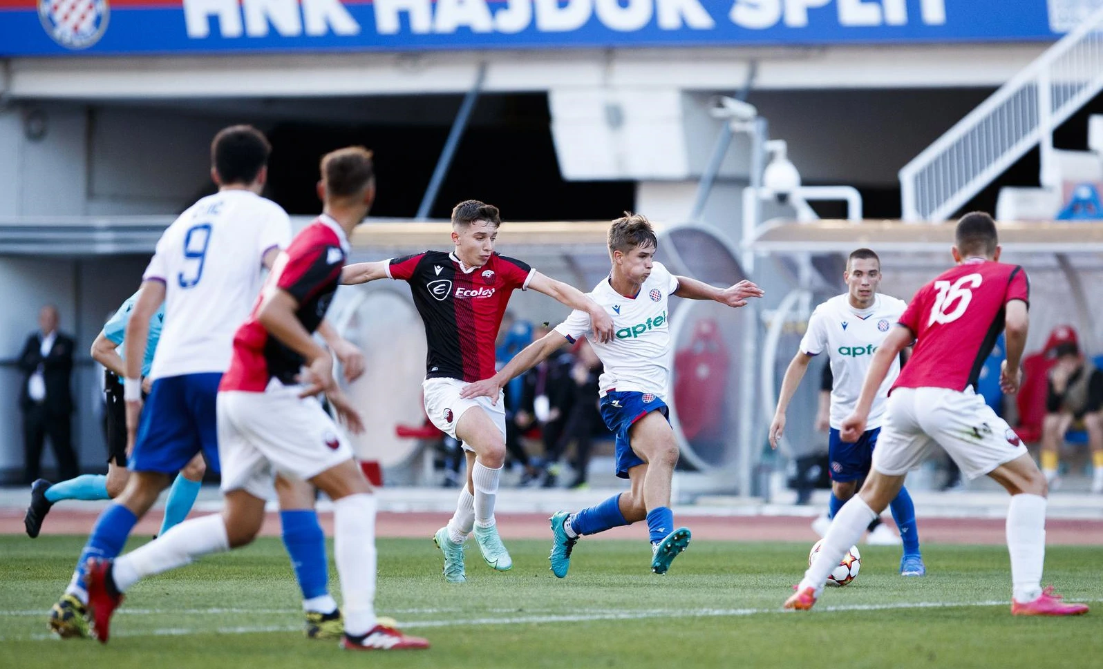 HRT: Youth Champions League: Hajduk im Viertelfinale