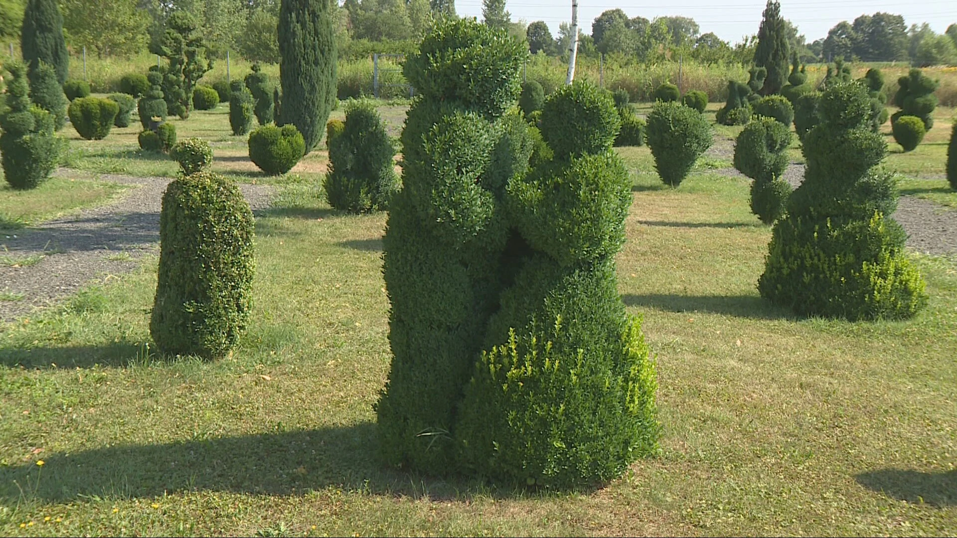 Zeleni svijet obitelji Flegar - HRT