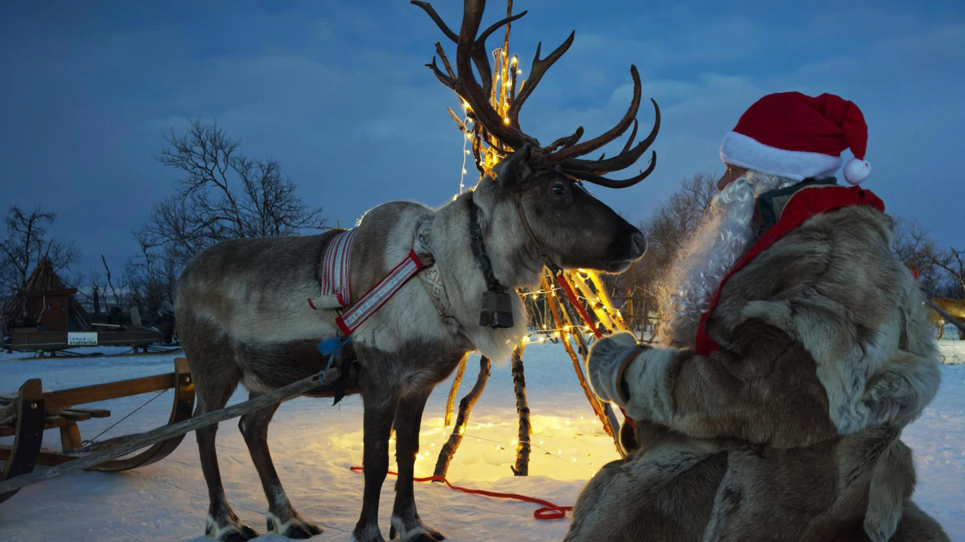 Božić u svijetu prirode - HRT