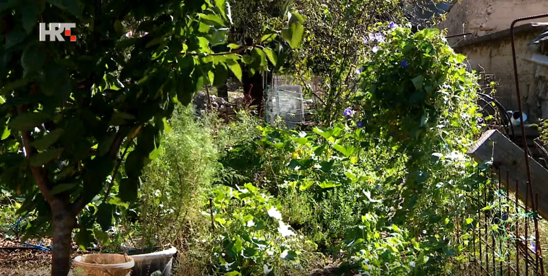 Što je permakulturni vrt i koje su mu prednosti? - HRT