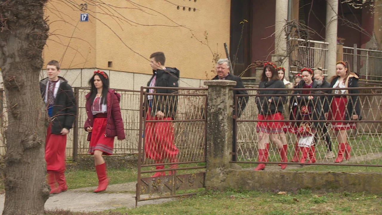 Manjinski mozaik: Dome moj - HRT