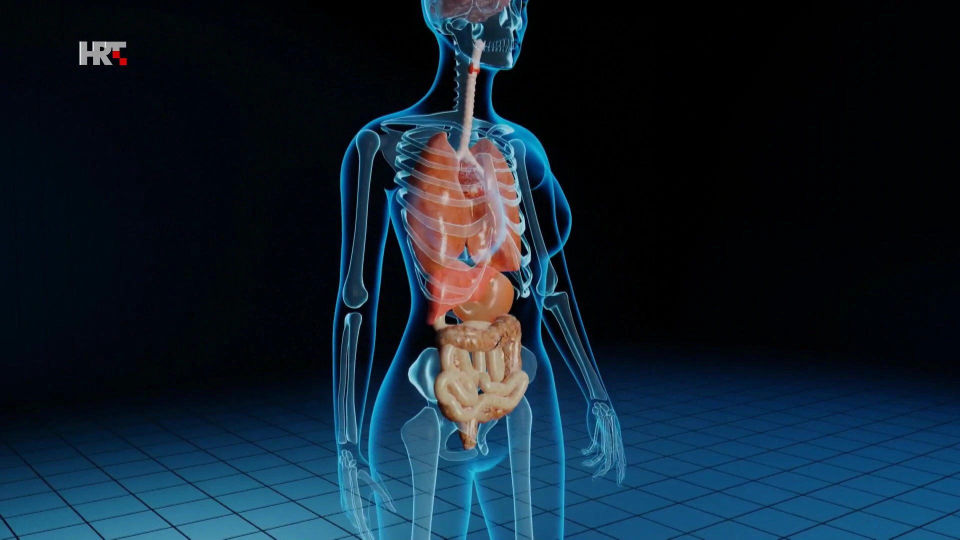 Važnost sistematskih pregleda - HRT