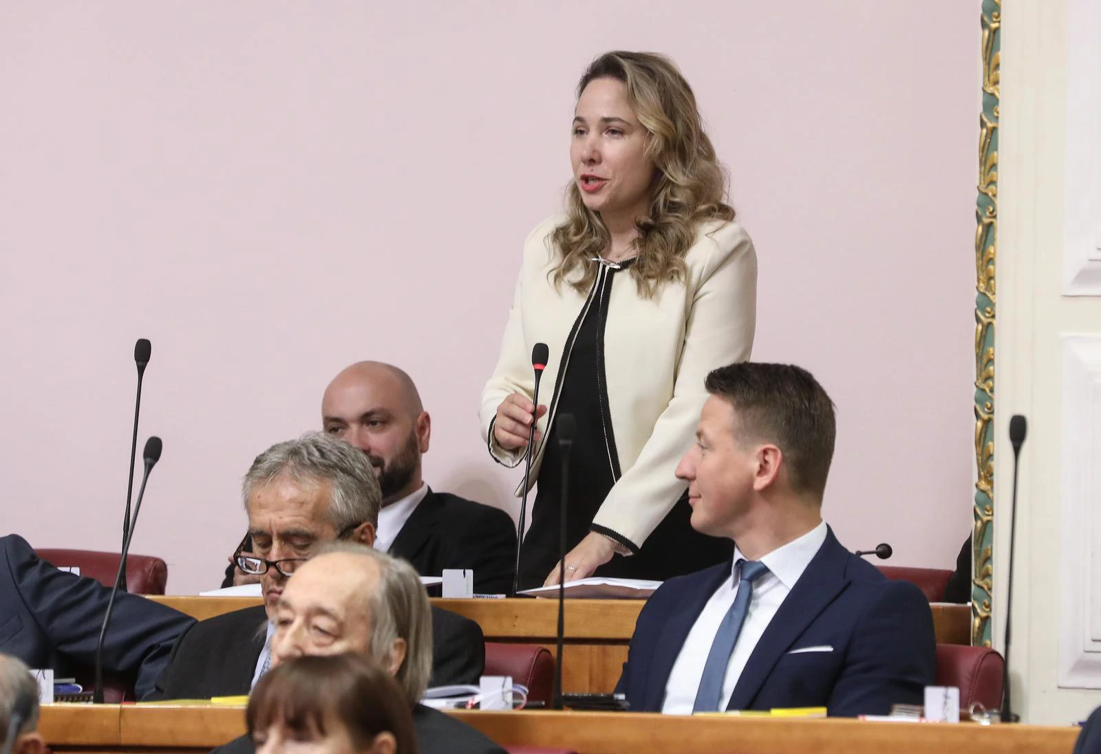 Selak Raspudić: Suradnja s onima koji će imati korisne prijedloge pa i ...