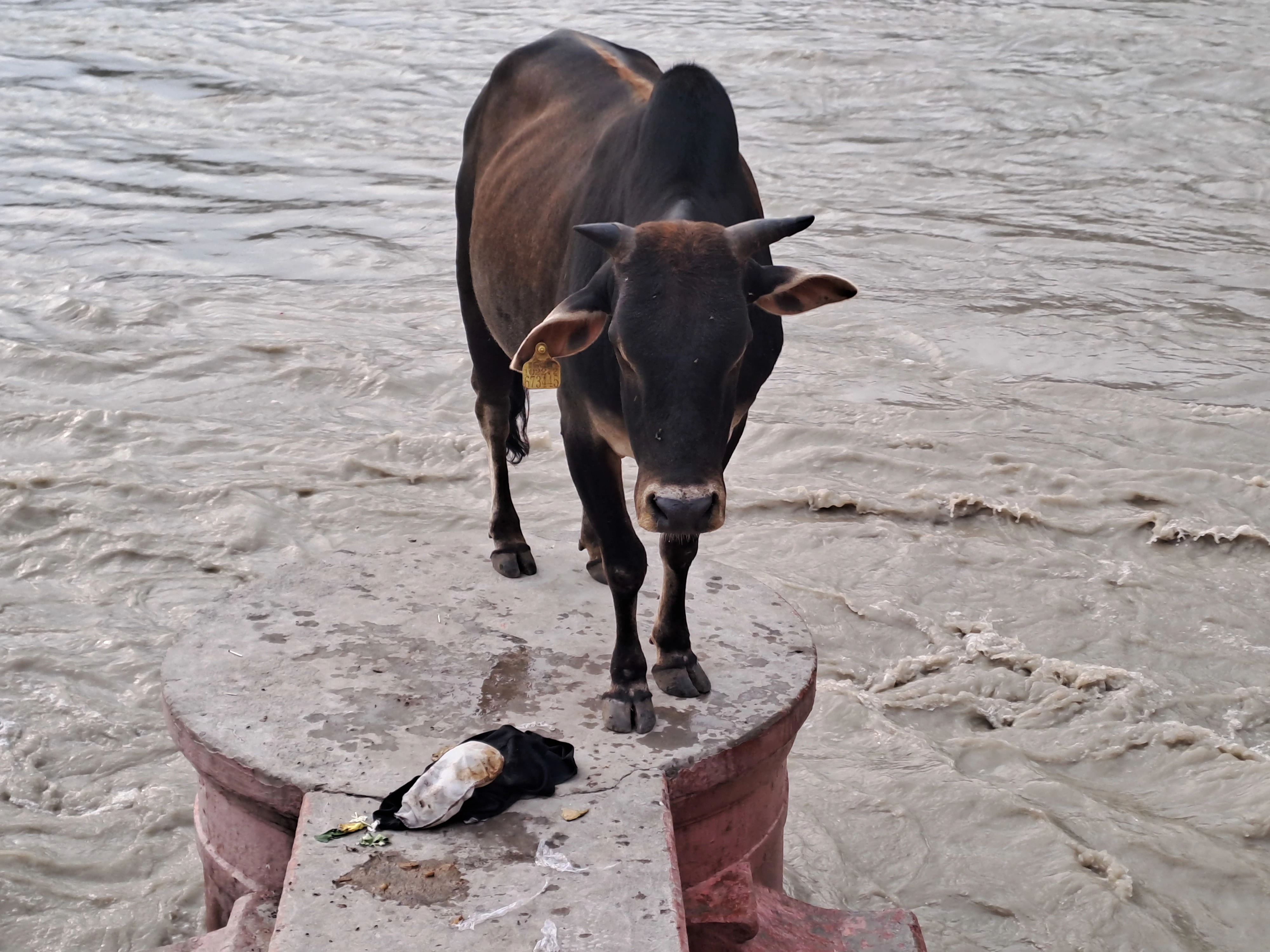 Na obalama svete rijeke Ganges - HRT
