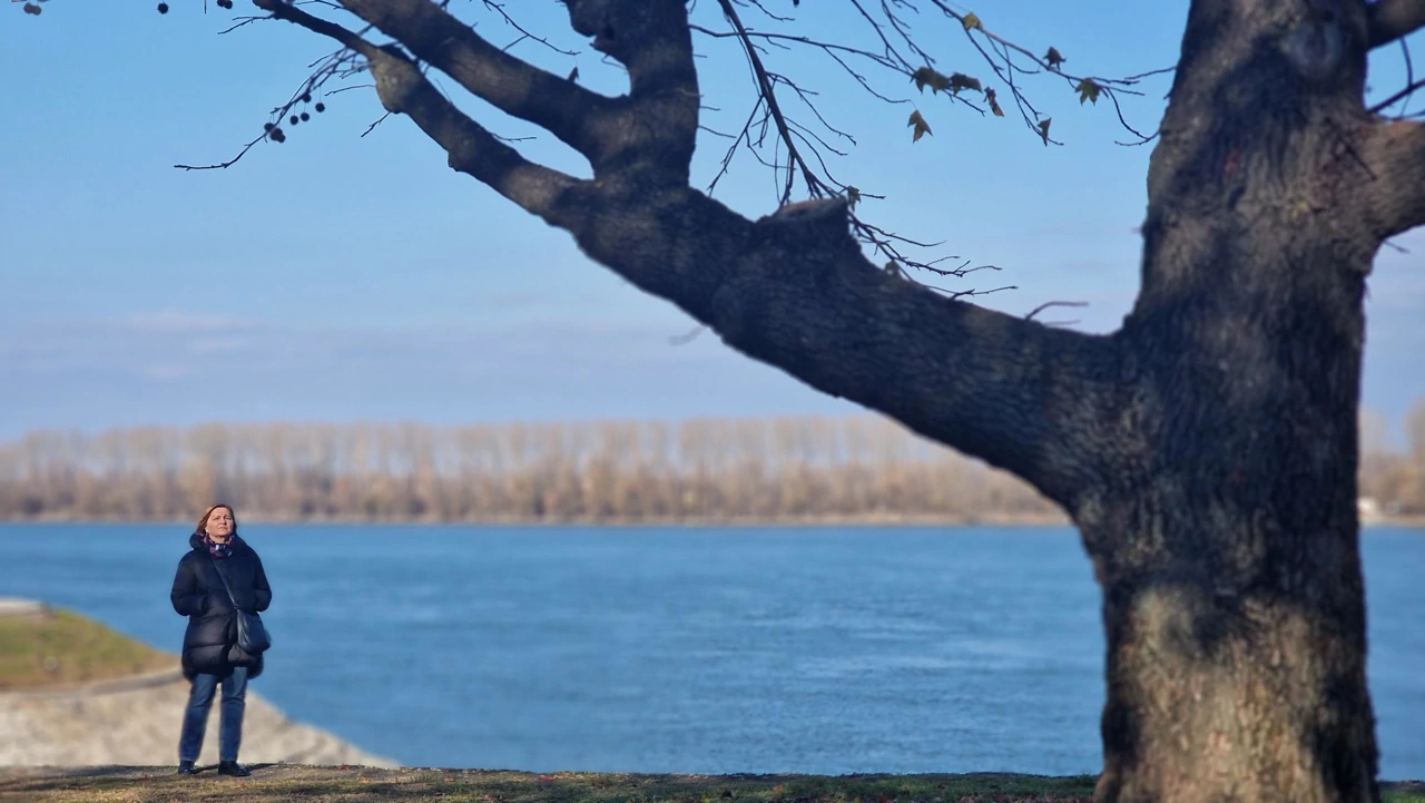 Moj glas, moje oružje - HRT