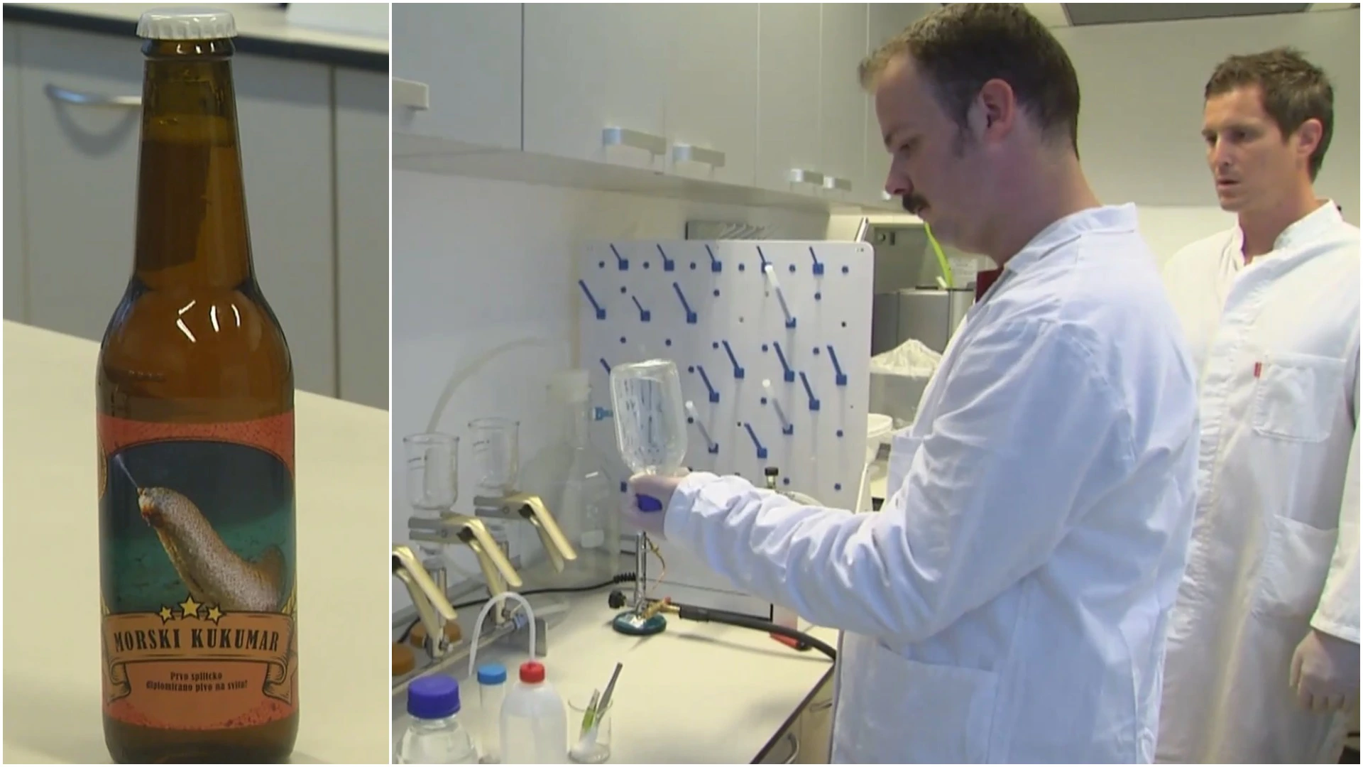 Morski kukumar - prvo u svijetu pivo od kvasca iz mora! - HRT