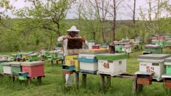 Lijepa naša Europo: Hrvati u Rumunjskoj - HRT