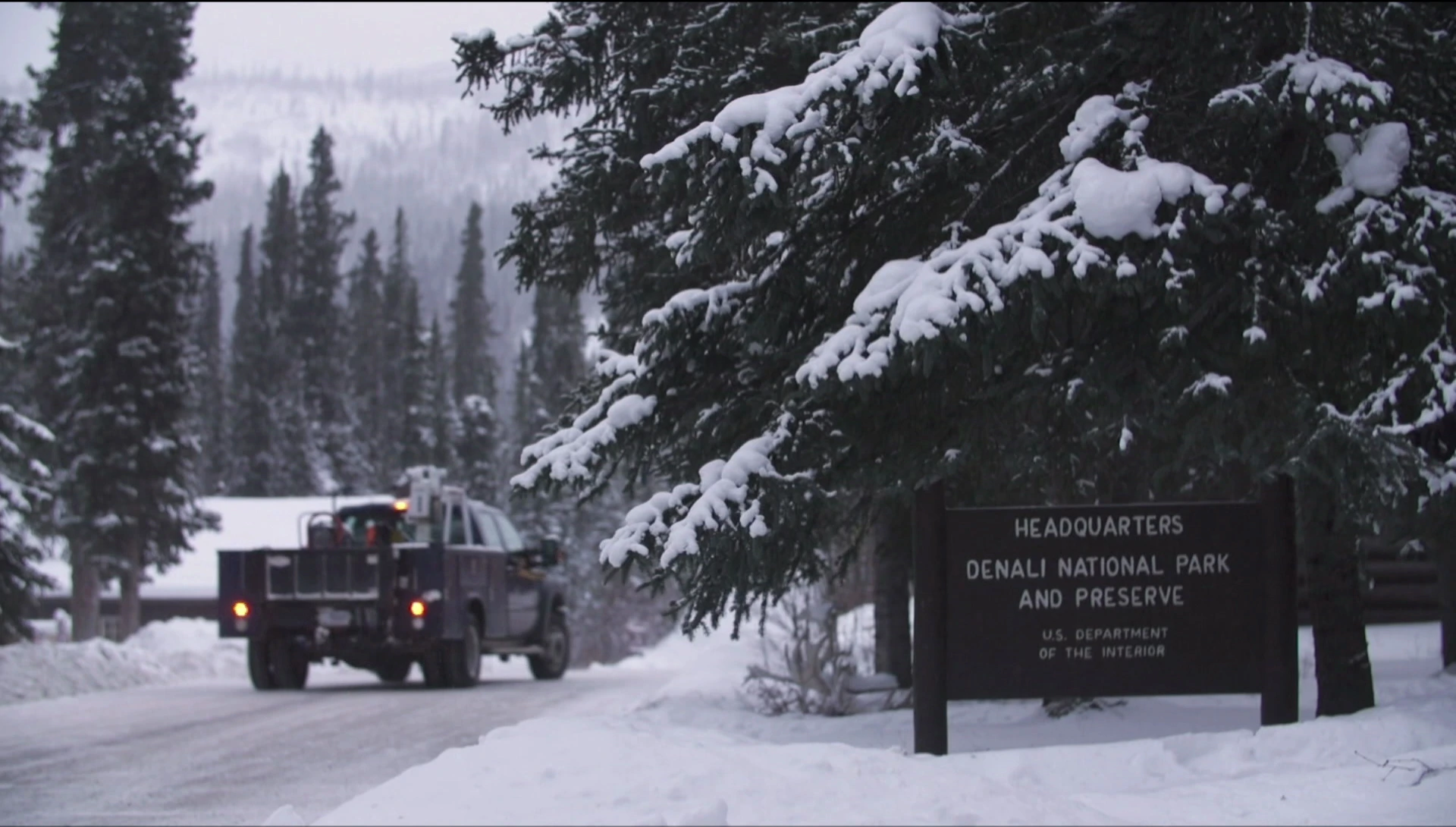 Čudesna divljina: Nacionalni park Denali - HRT