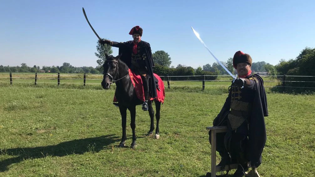 Pametan kao kokoš, tvrdoglav kao magarac: Konj / magarac - HRT
