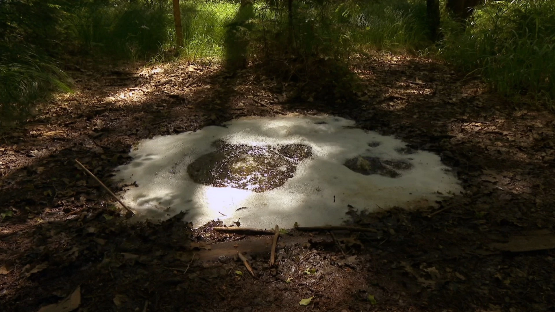 HRT: Slovenske mofete