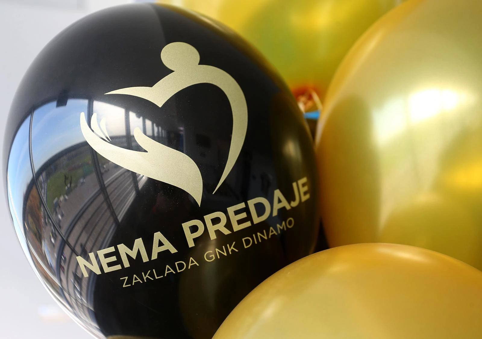 Dinamova zaklada 'Nema predaje' dodjeljuje stipendije učenicima i studentima - HRT