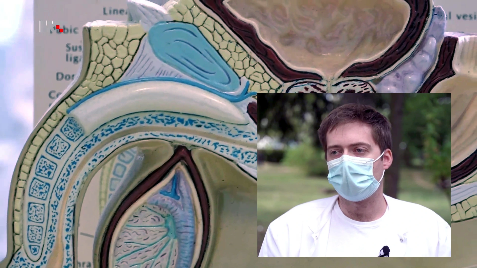 Varikokela, mikrokirurško liječenje i u Hrvatskoj - HRT